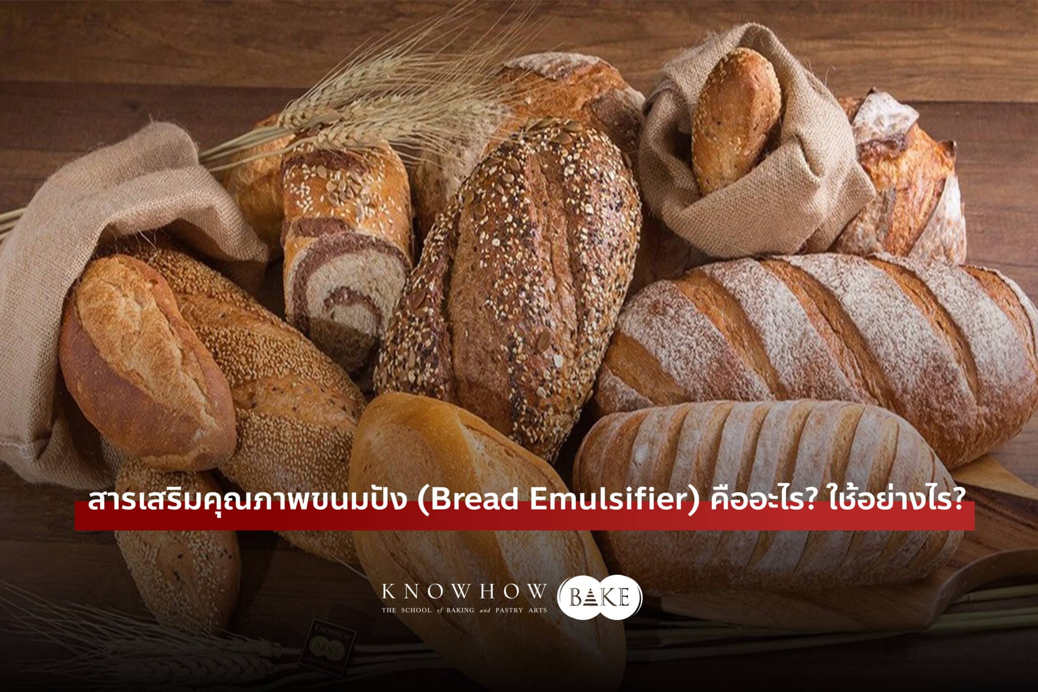 สารเสริมคุณภาพขนมปัง (Bread Emulsifier) คืออะไร? ใช้อย่างไร?